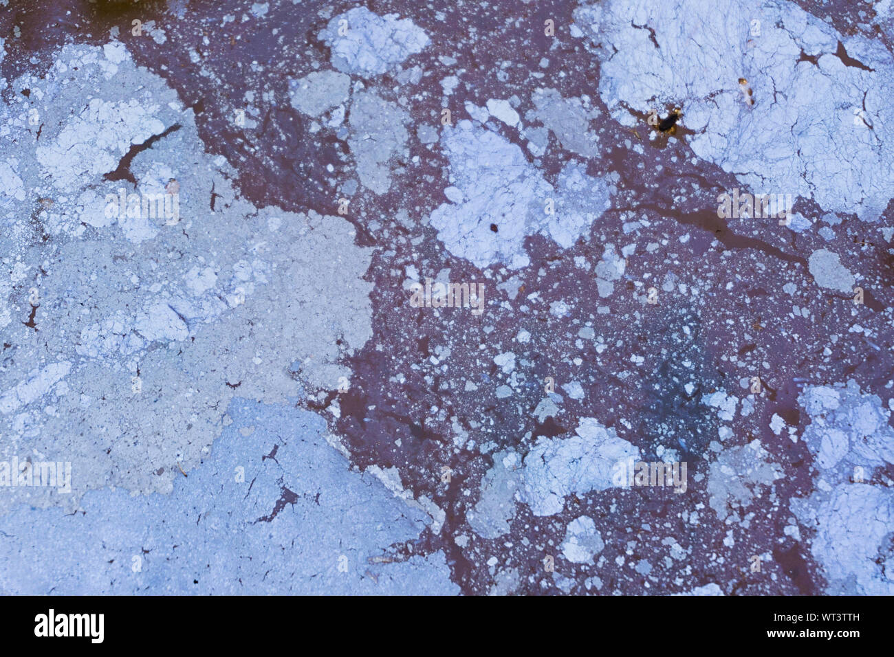 texture background. shot of dirty water, top view. Ecology ...