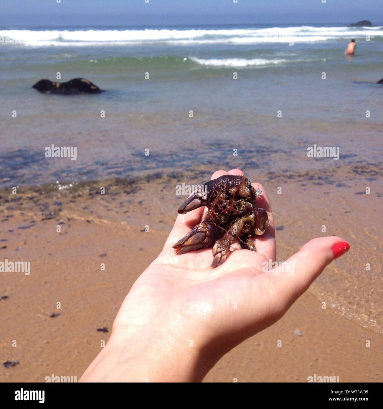 Human sea creature hi-res stock photography and images - Alamy