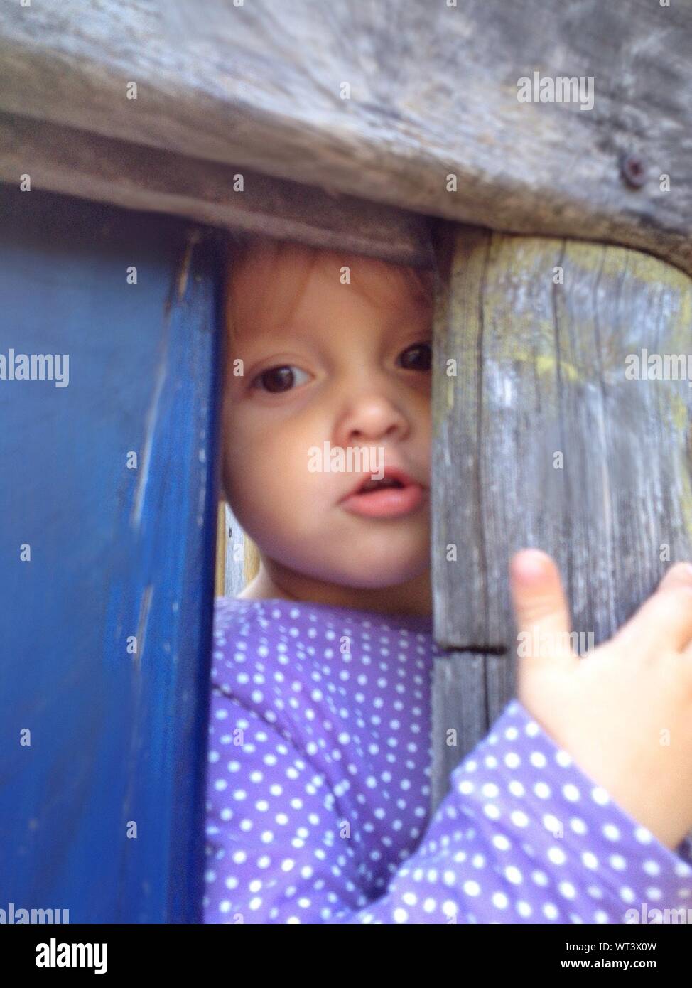 Girl Behind Fence High Resolution Stock Photography and Images - Alamy