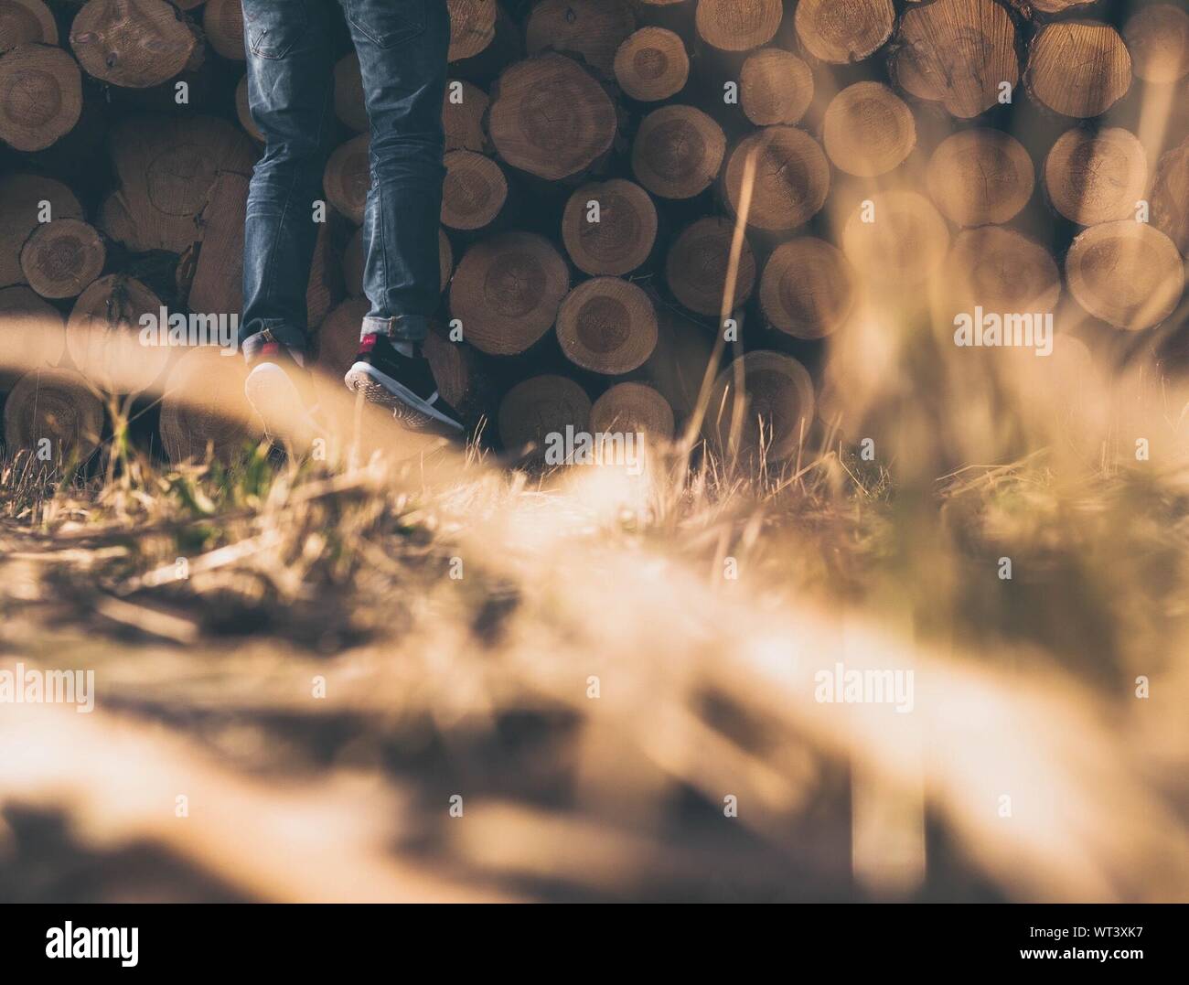 Surface Level Of Man Jumping By Stacked Logs Stock Photo - Alamy