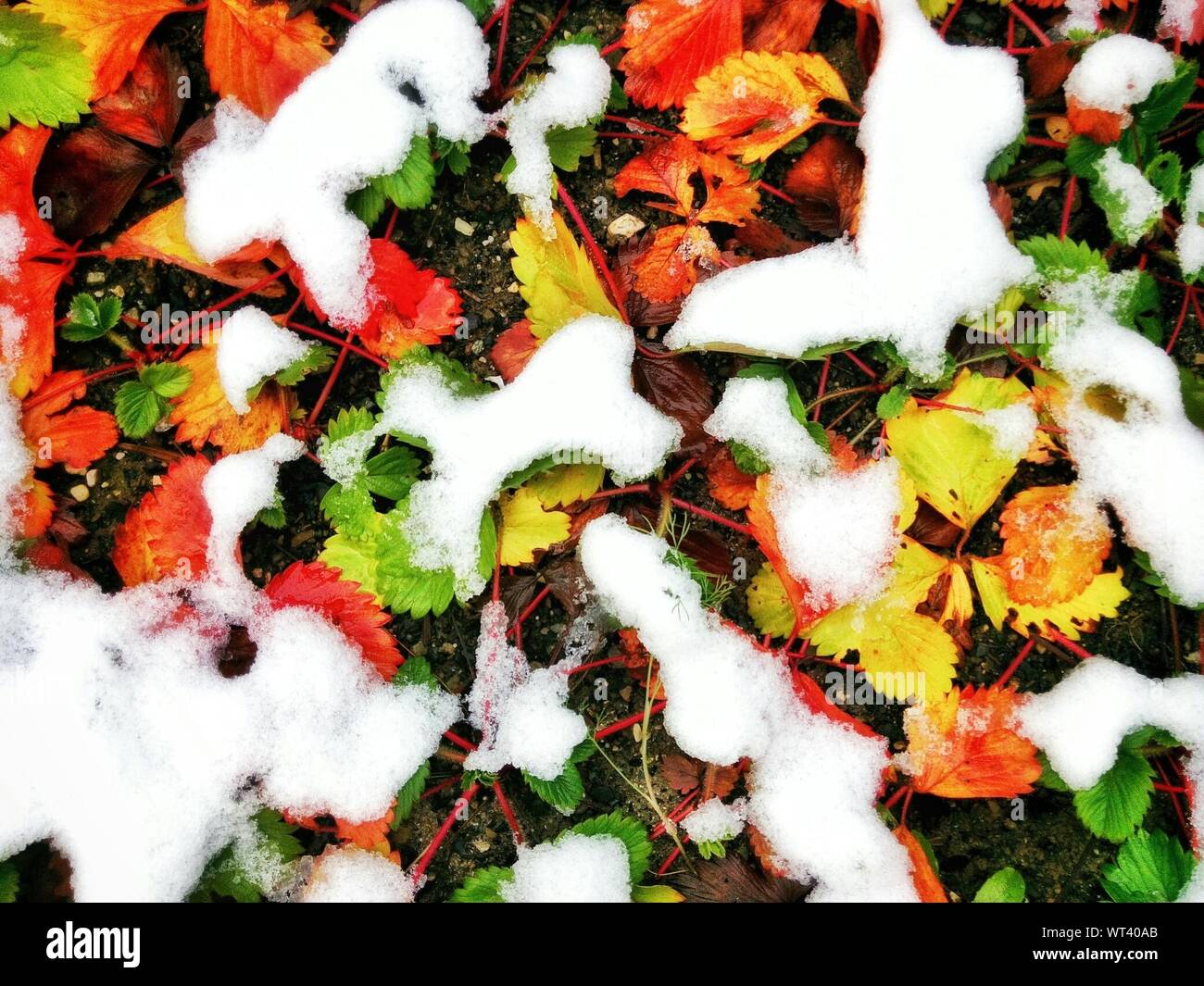 Messy snow hi-res stock photography and images - Alamy