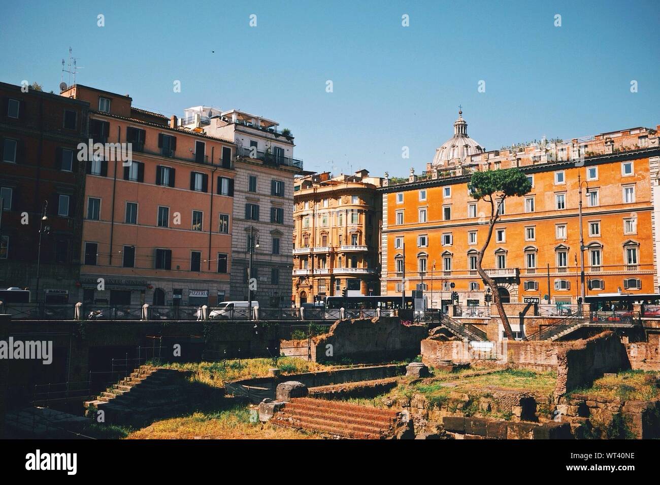 Tree town square hi-res stock photography and images - Alamy