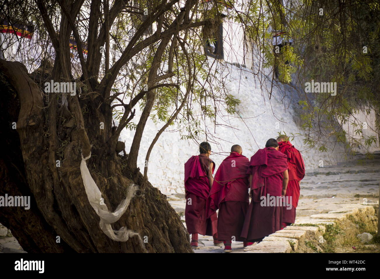 Rear view buddhist monk hi-res stock photography and images - Alamy