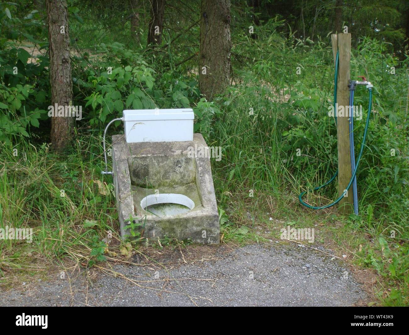 Toilet with tree hi-res stock photography and images - Alamy
