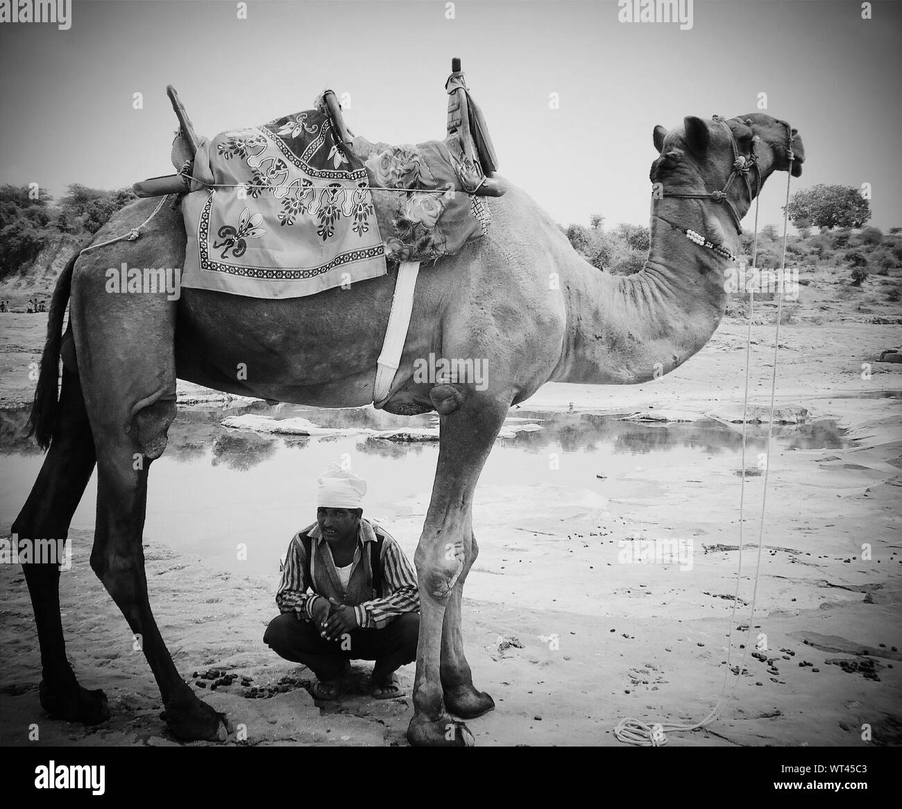 Man sitting on camel hi-res stock photography and images - Alamy