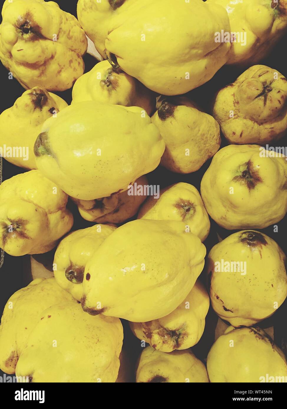 Misshapen Stock Photos & Misshapen Stock Images - Alamy