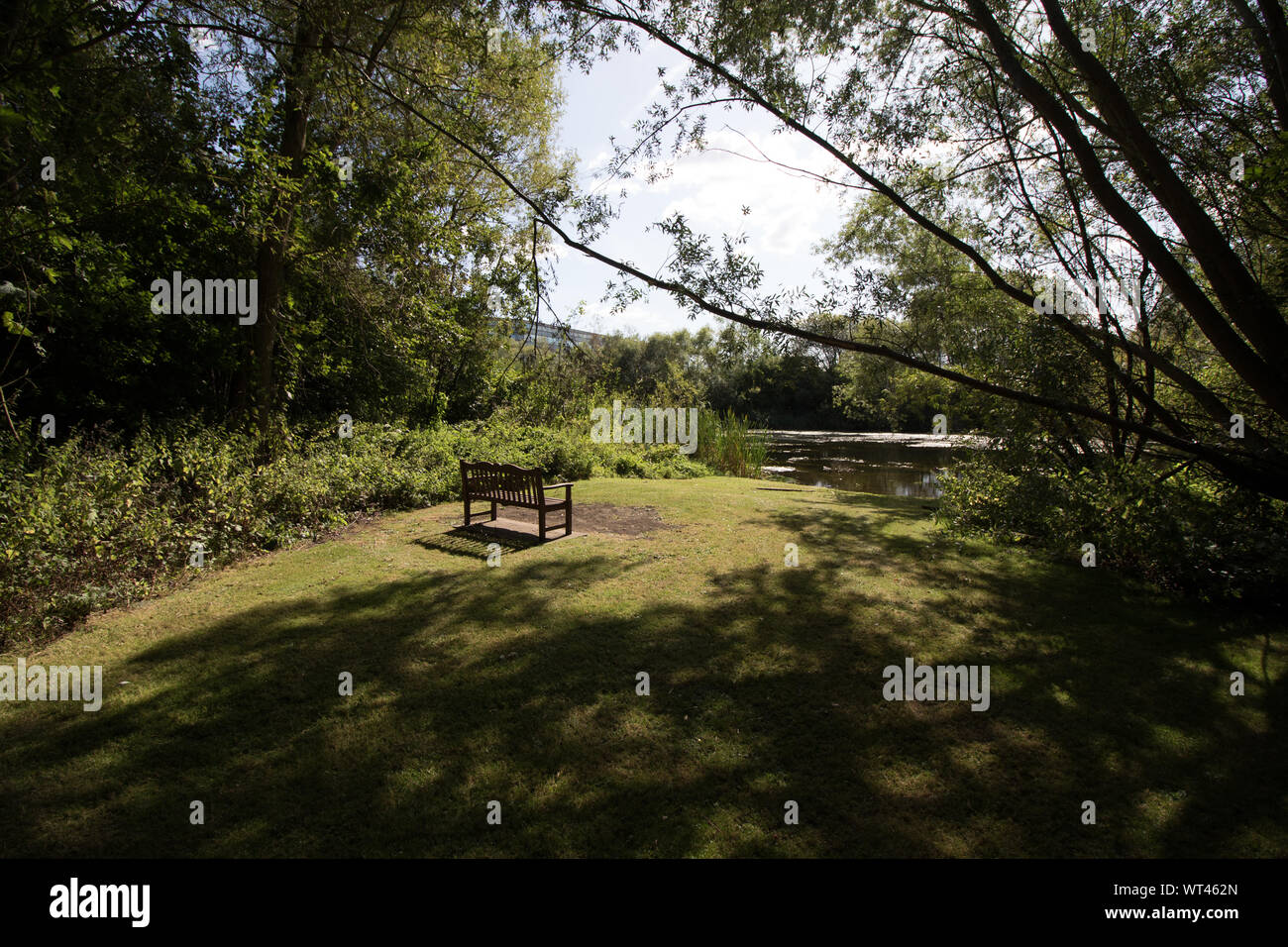 Shadows backlit trees hi-res stock photography and images - Alamy