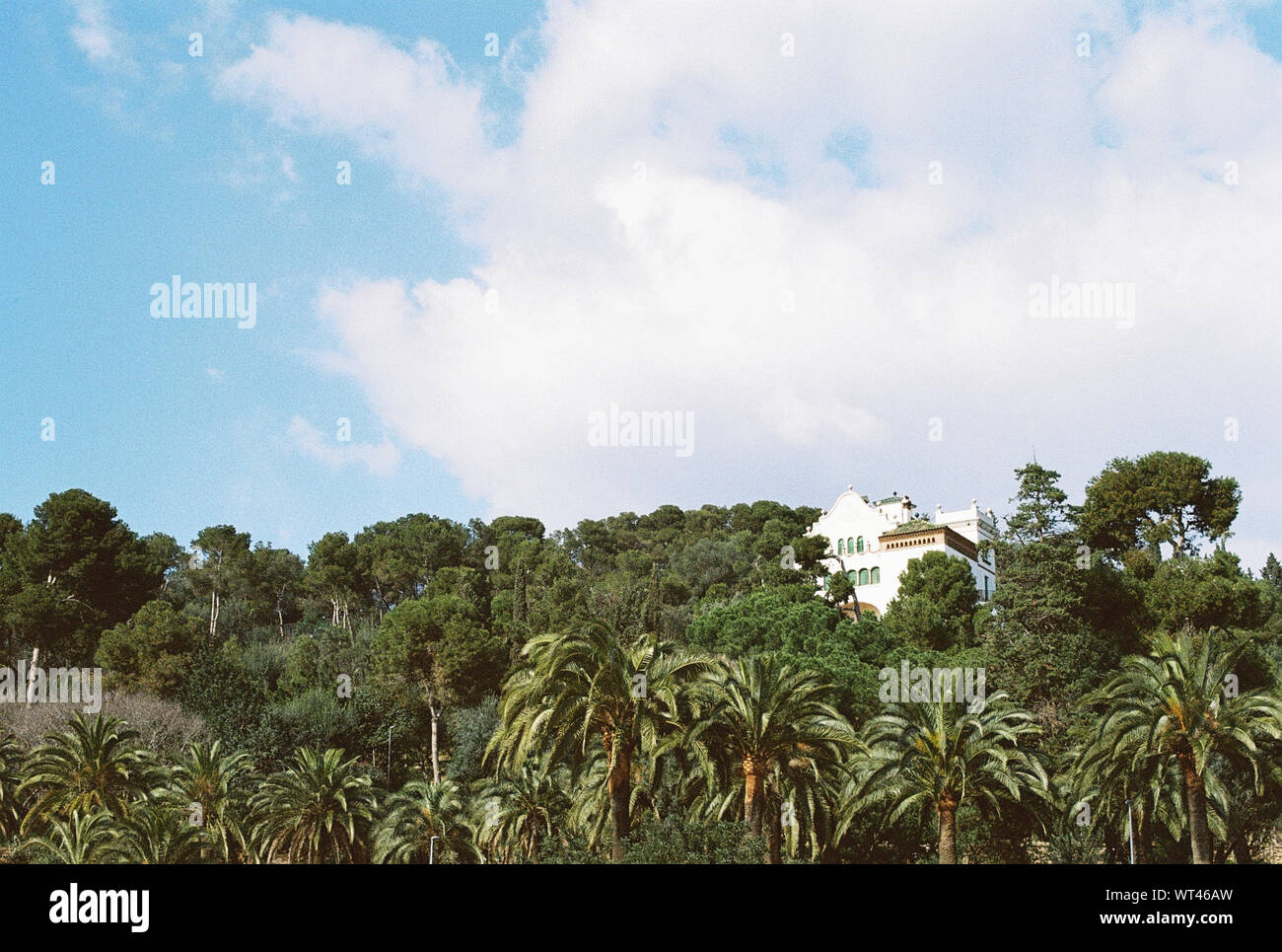 House among trees house among trees hi-res stock photography and images ...