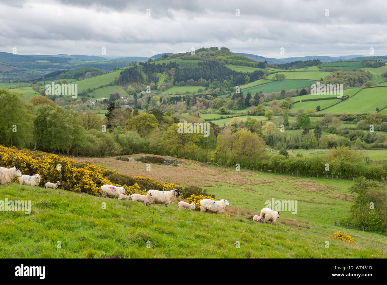 Spring hill shropshire hi-res stock photography and images - Alamy