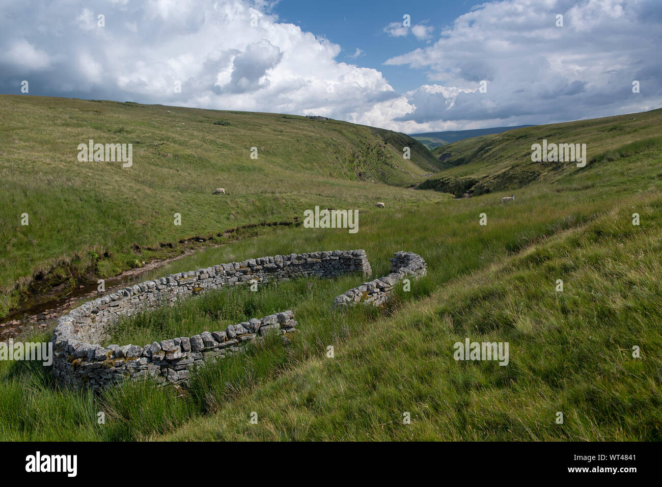 Round pen hi-res stock photography and images - Alamy