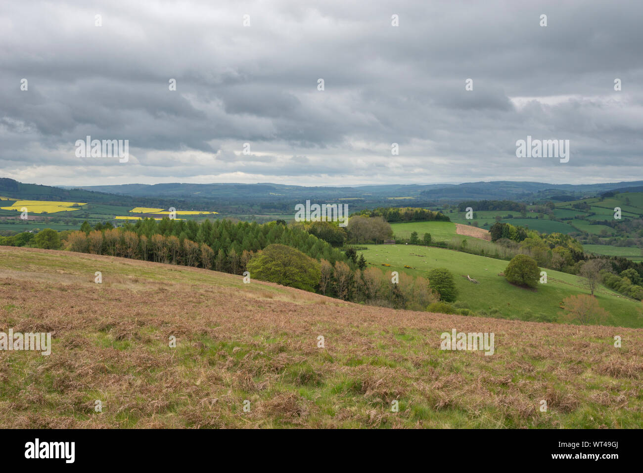 Hopesay shropshire hi-res stock photography and images - Alamy