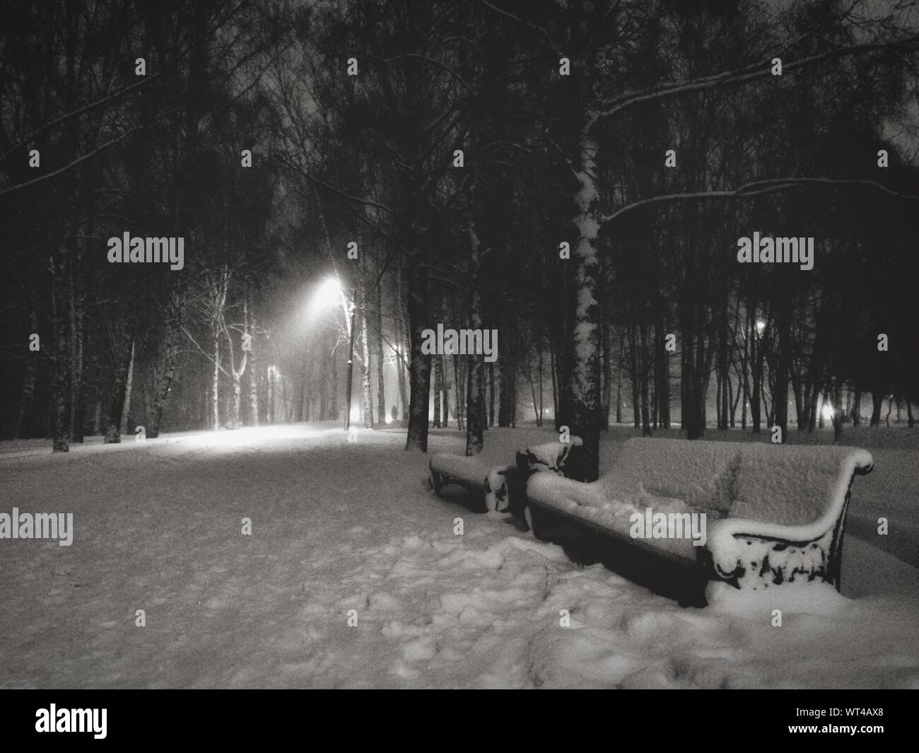 Park benches at night hi-res stock photography and images - Alamy