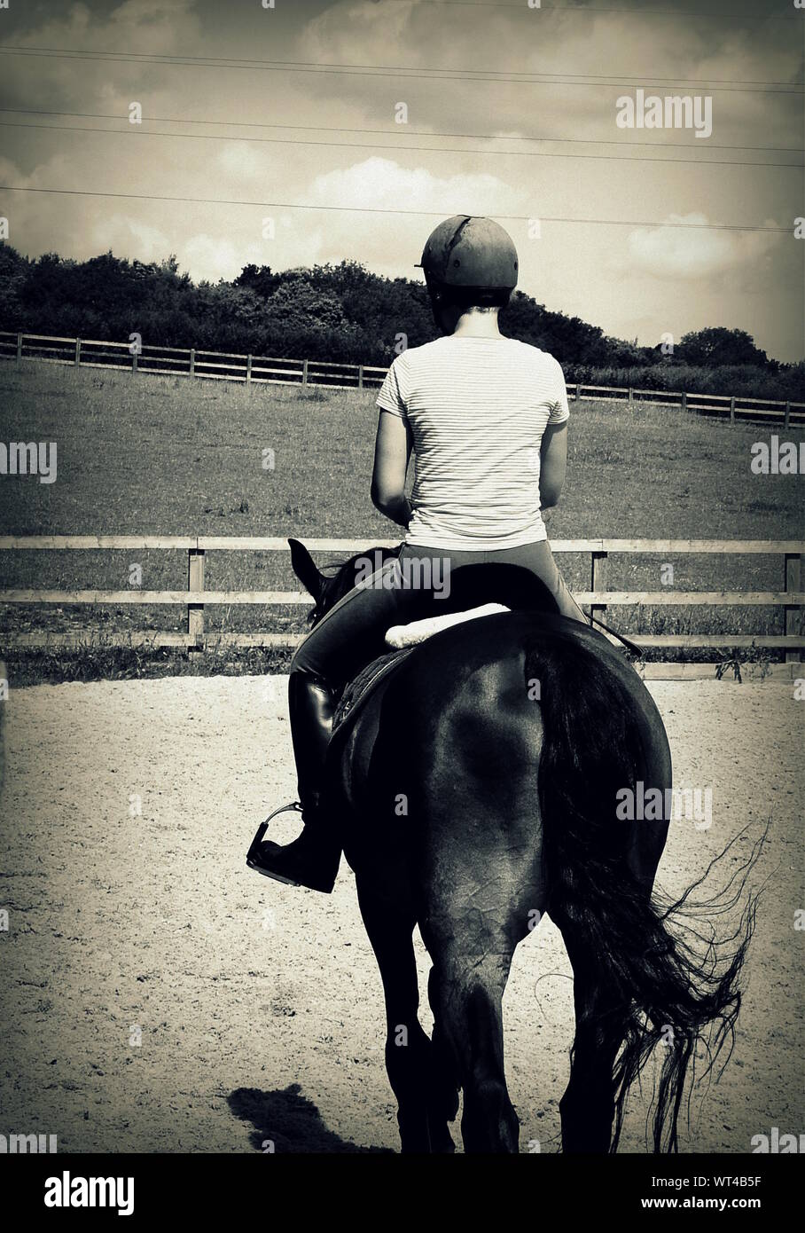 Horseback riding stable hi-res stock photography and images - Alamy