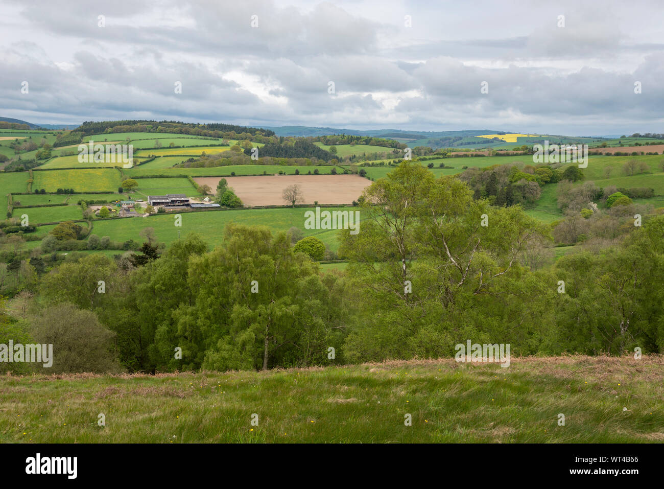 Shropshire countryside landscape hi-res stock photography and images ...