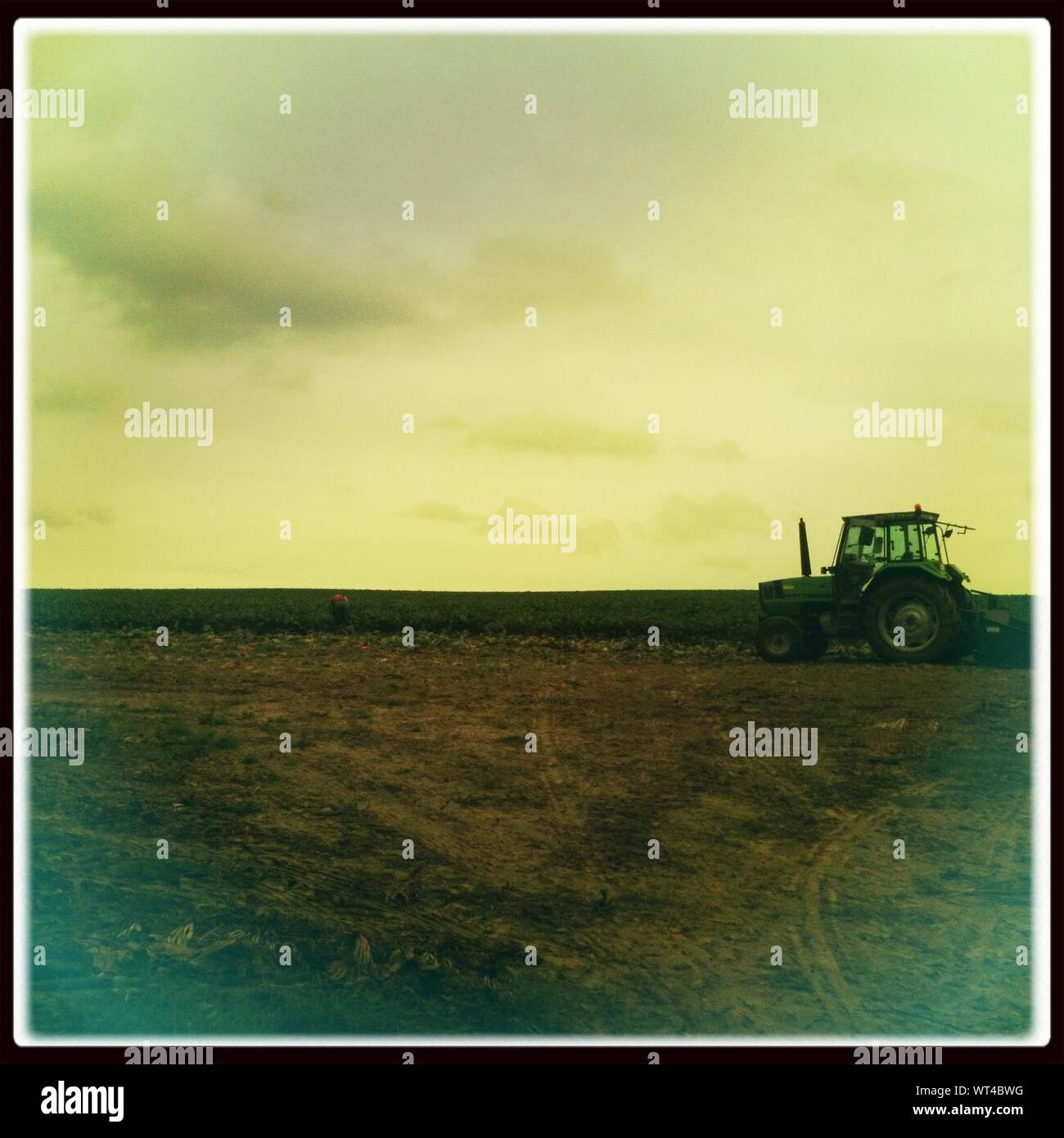 Rural Scenery With Tractor On A Field Stock Photo - Alamy