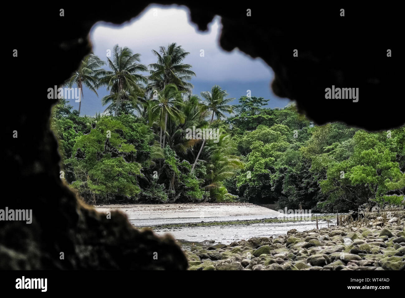 Natural window with view on beach and rainforest, Cape Tribulation ...