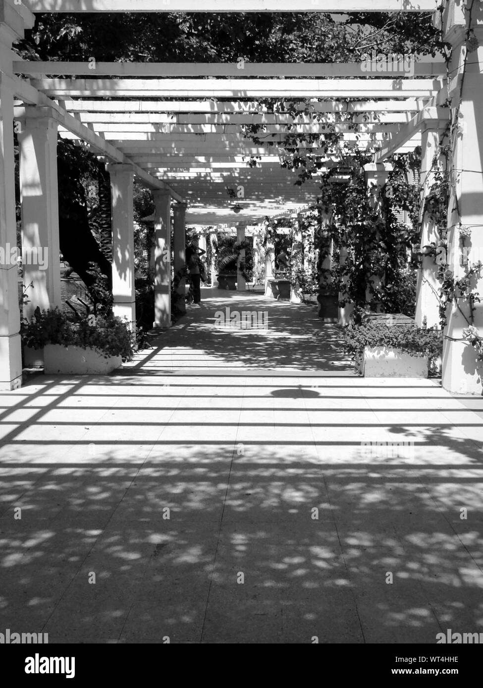 Plants covered walkway hi-res stock photography and images - Alamy