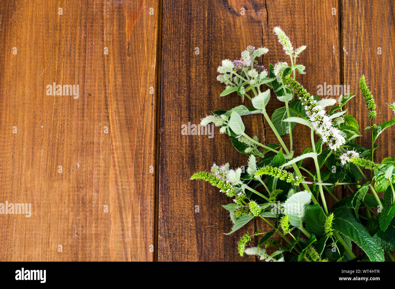 Mint grass hi-res stock photography and images - Alamy