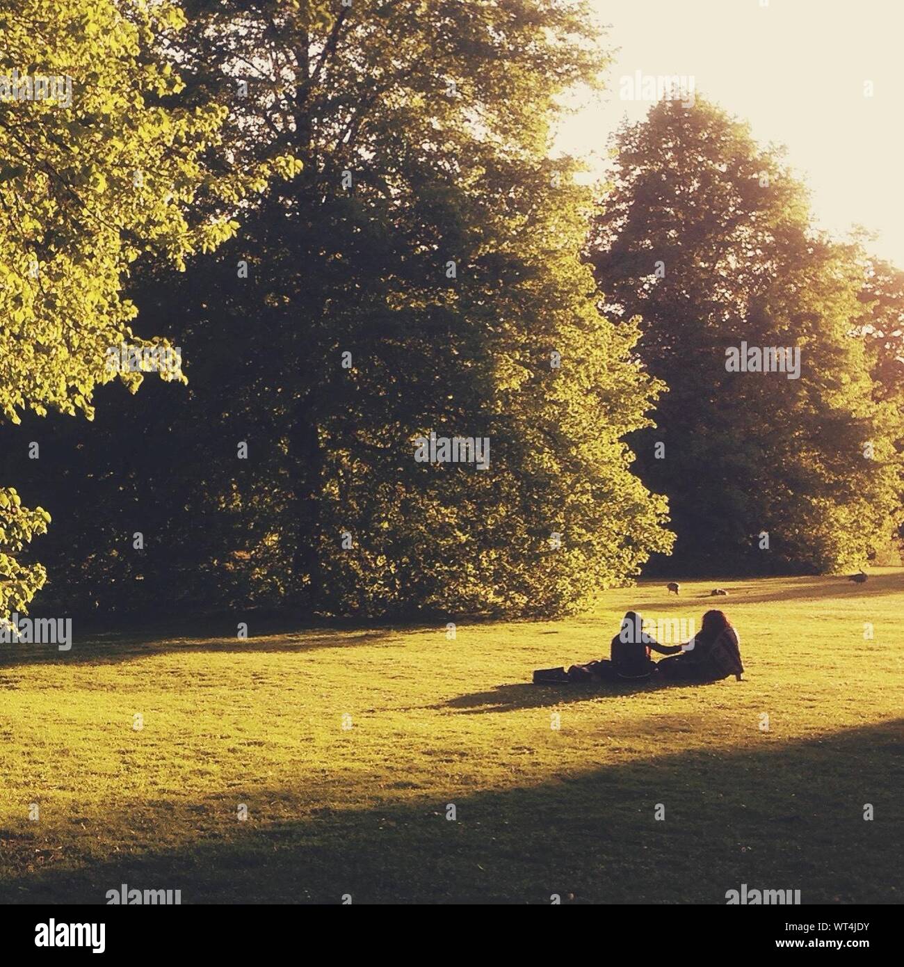 People sitting on lawn hi-res stock photography and images - Alamy