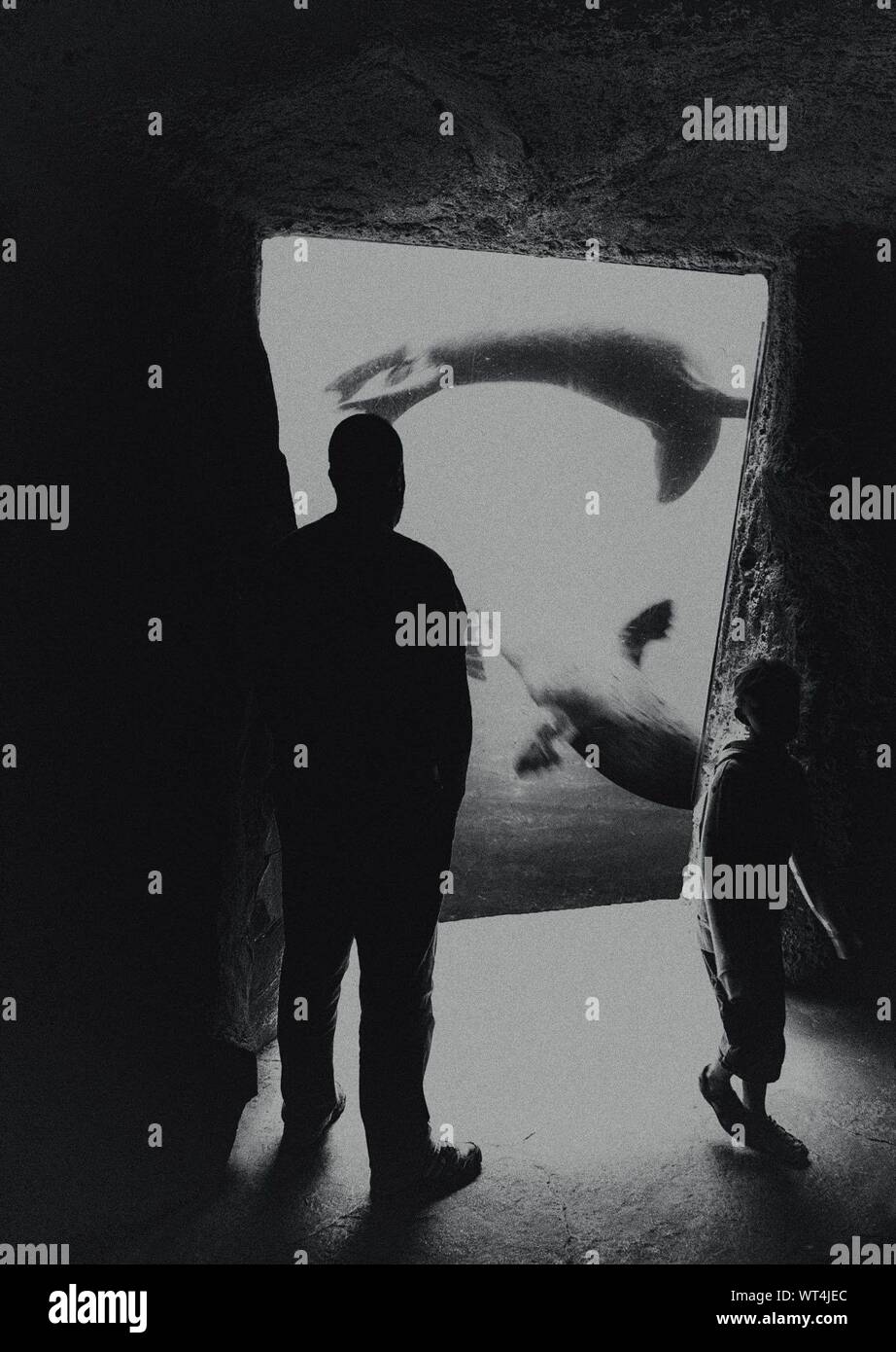 People watching aquarium hi-res stock photography and images - Alamy