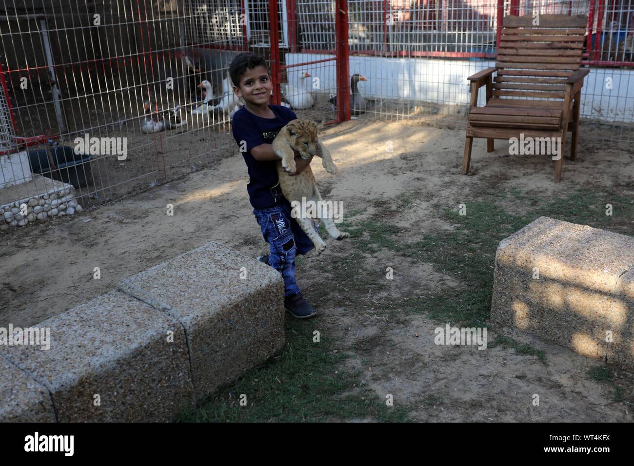 Lion 020 hi-res stock photography and images - Alamy