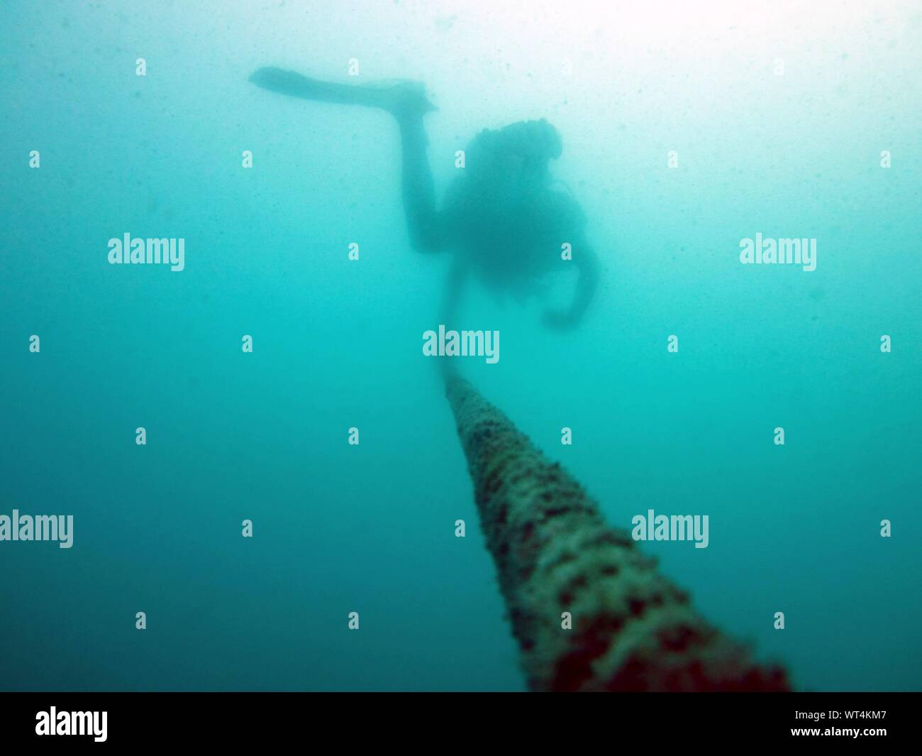 Underwater Rope High Resolution Stock Photography and Images - Alamy