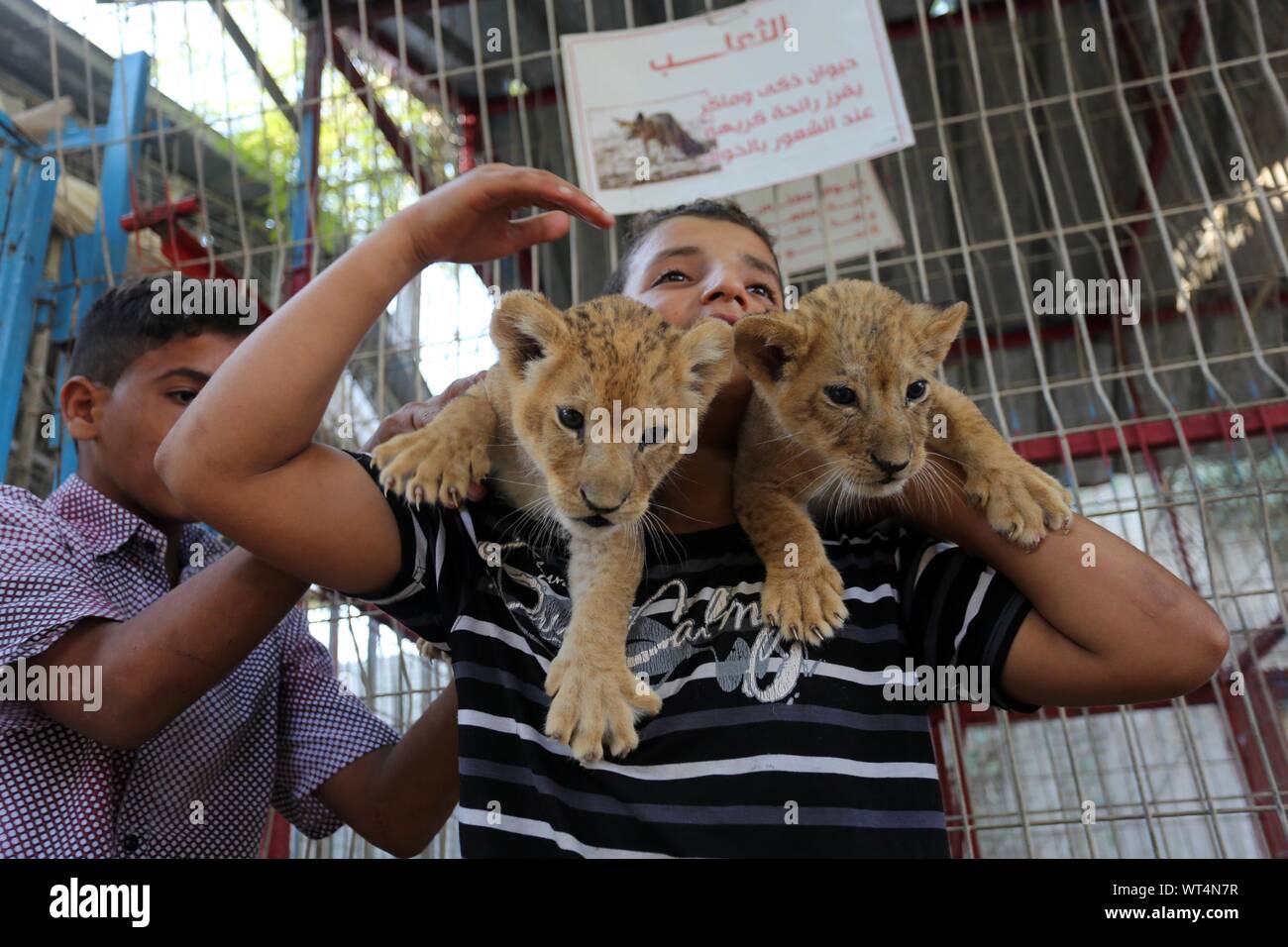 Rafah, Gaza Strip, Palestinian Territory. 11th Sep, 2019. A Palestinian ...
