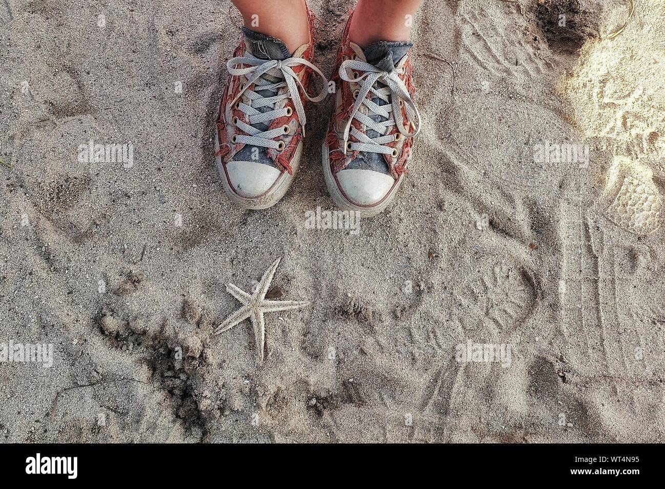 Starfish Leg High Resolution Stock Photography and Images - Alamy