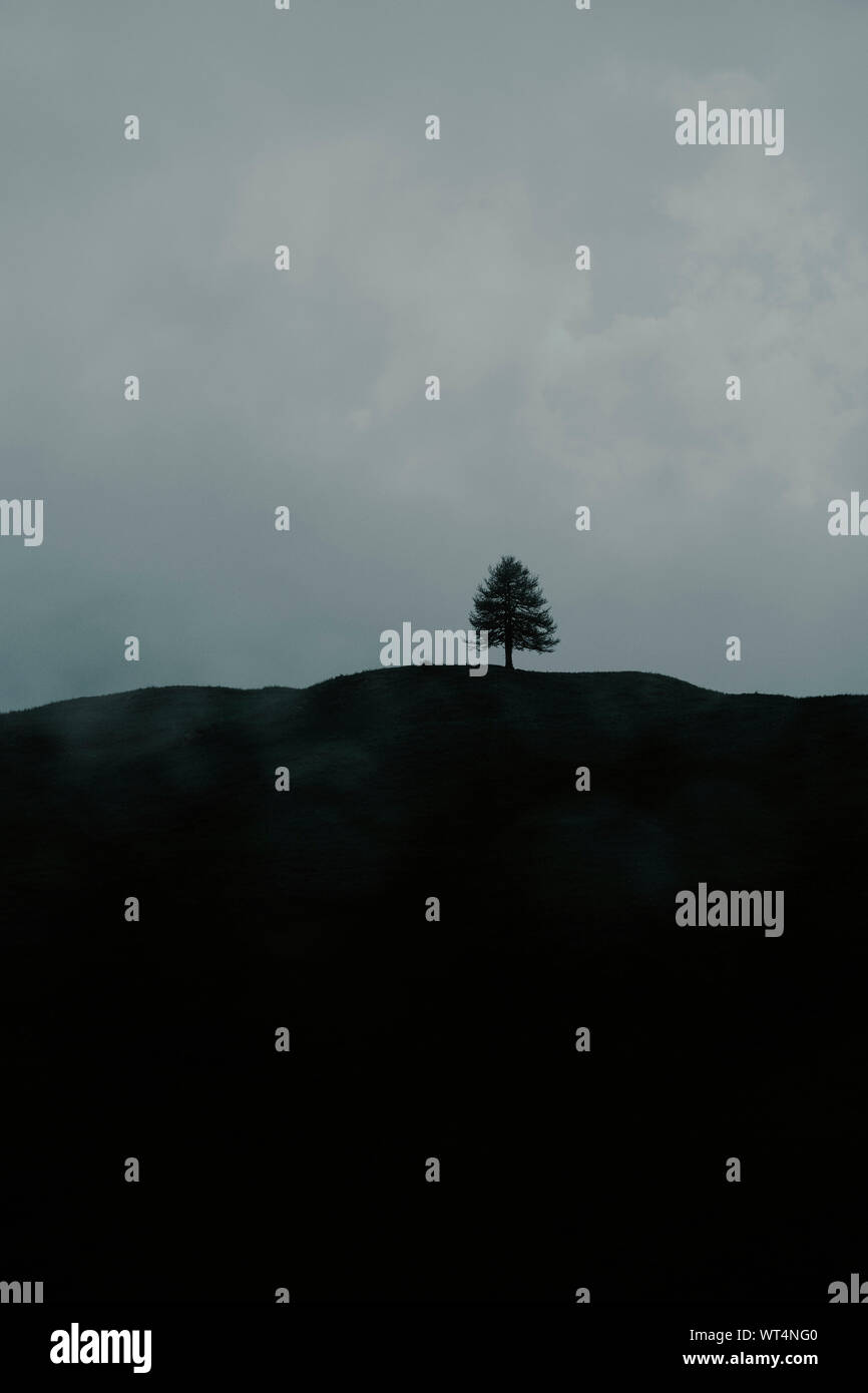 Landscape of tree only tree hi-res stock photography and images - Alamy