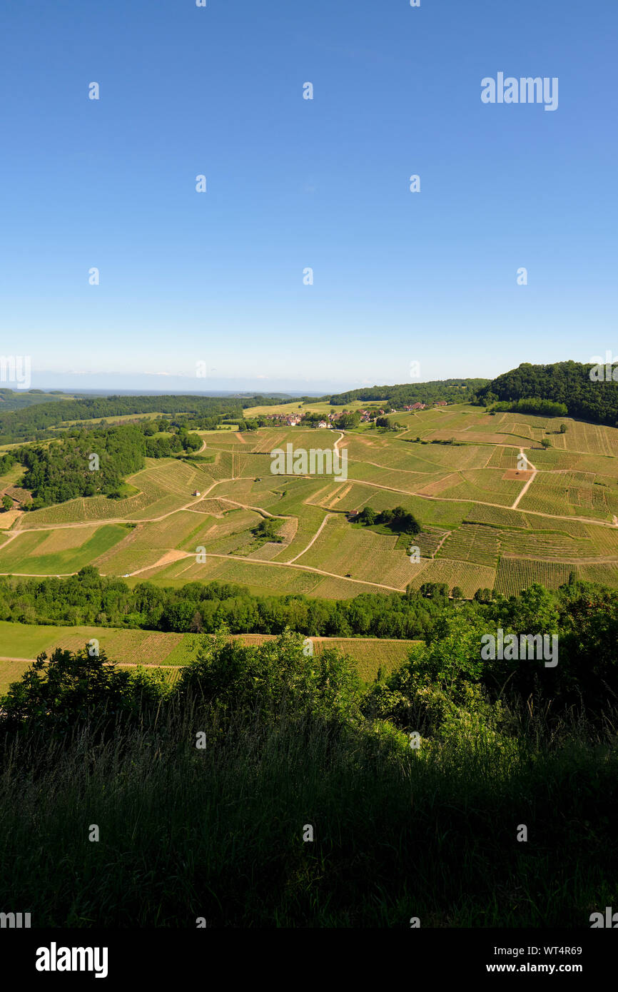 The vineyard countryside rural farmland landscape of the Jura karst ...