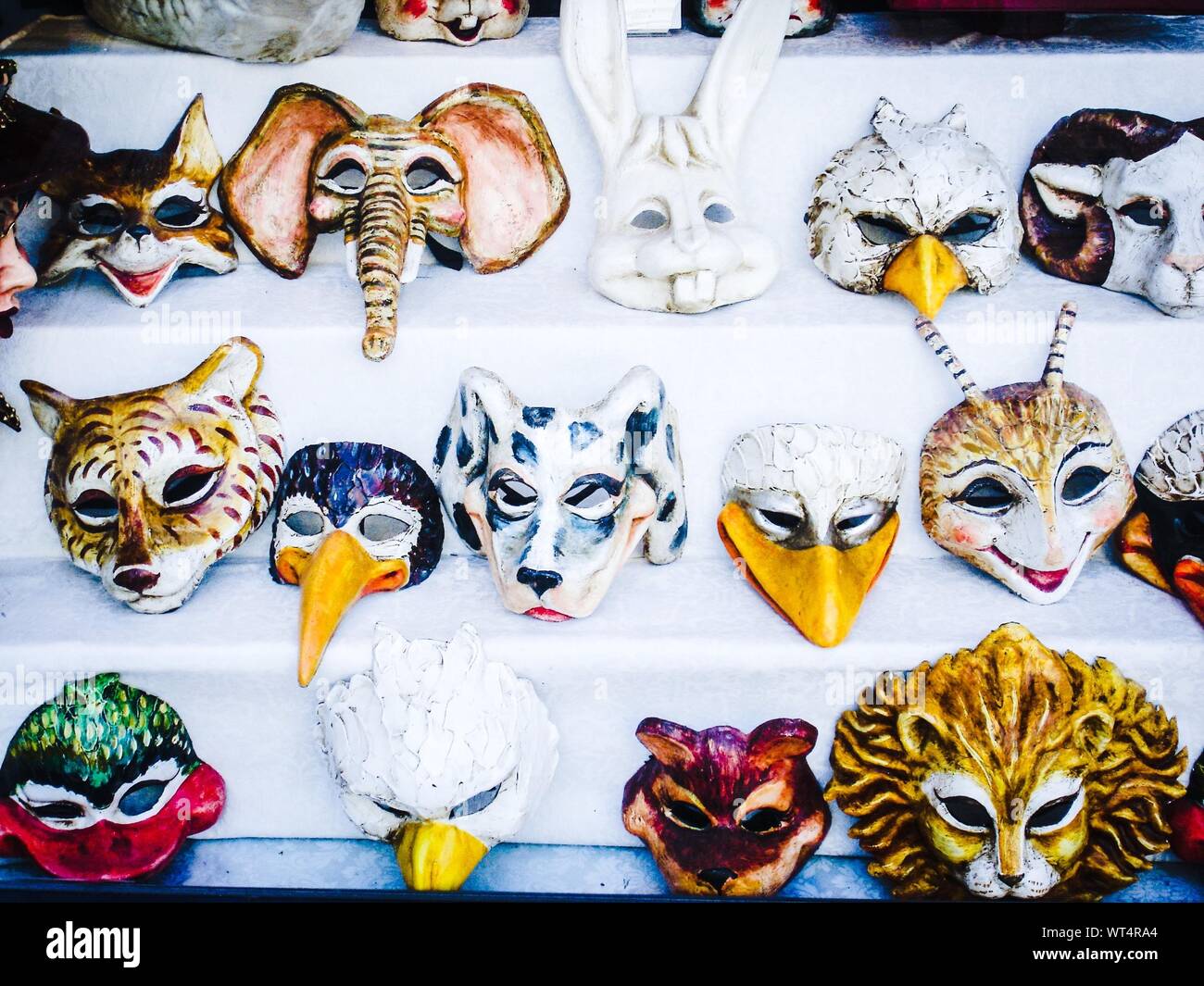 Animal mask hi-res stock photography and images - Alamy