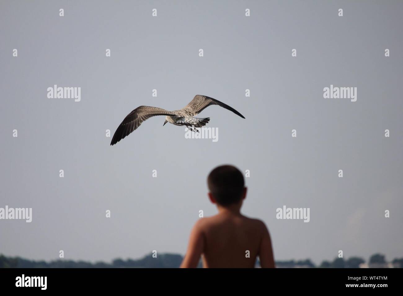 Flying head hi-res stock photography and images - Alamy