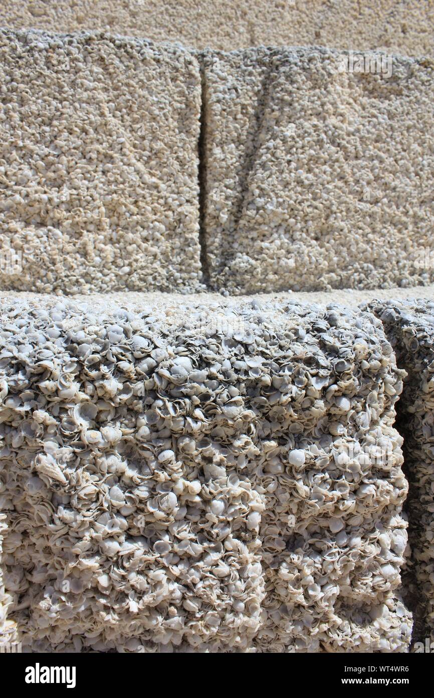 Quarry of shell where blocks were made for building houses by the first ...