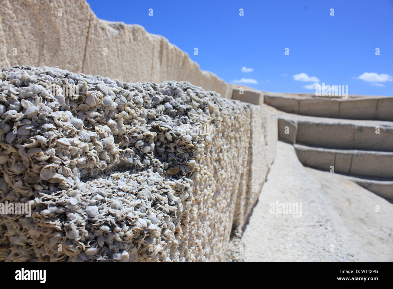 Quarry of shell where blocks were made for building houses by the first ...