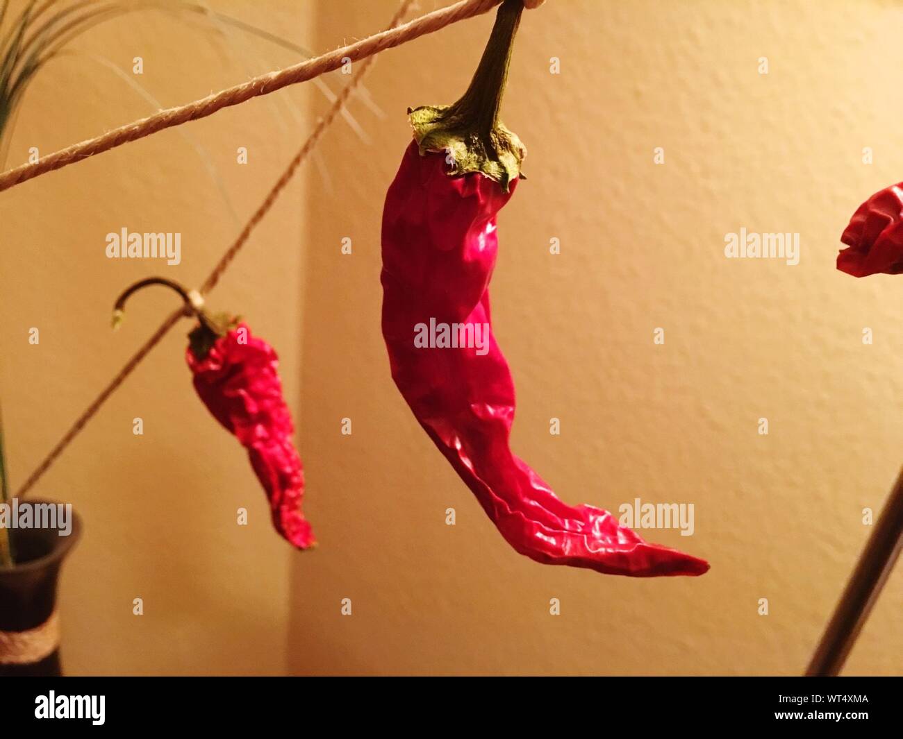 String of pepper hi-res stock photography and images - Alamy