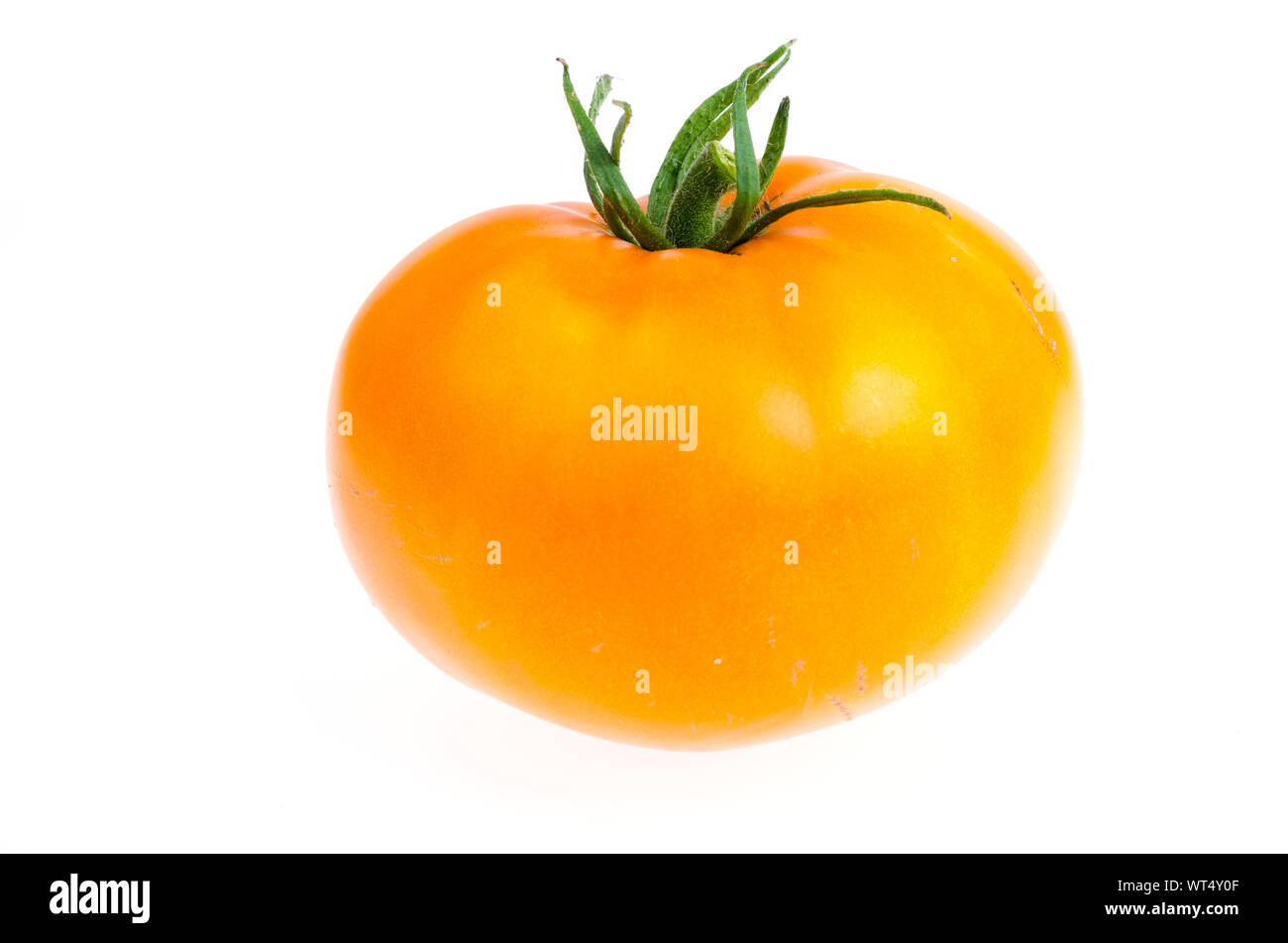 One yellow fresh bio tomato isolated on white background. Studio Photo ...