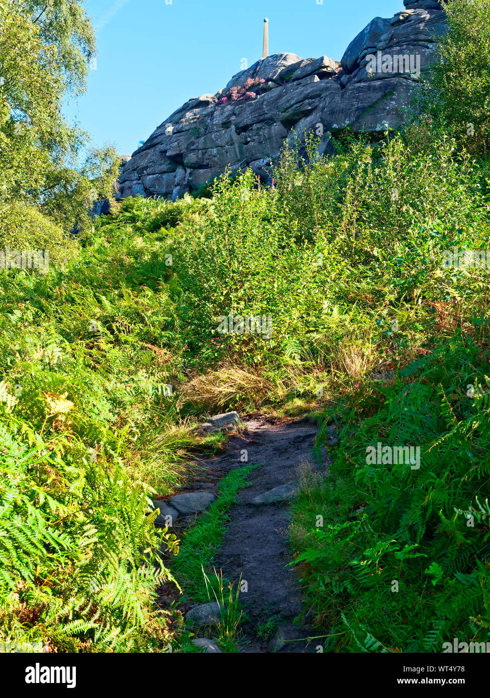 Rough narrow path through thick vegitation to Birchen Edge topped with ...