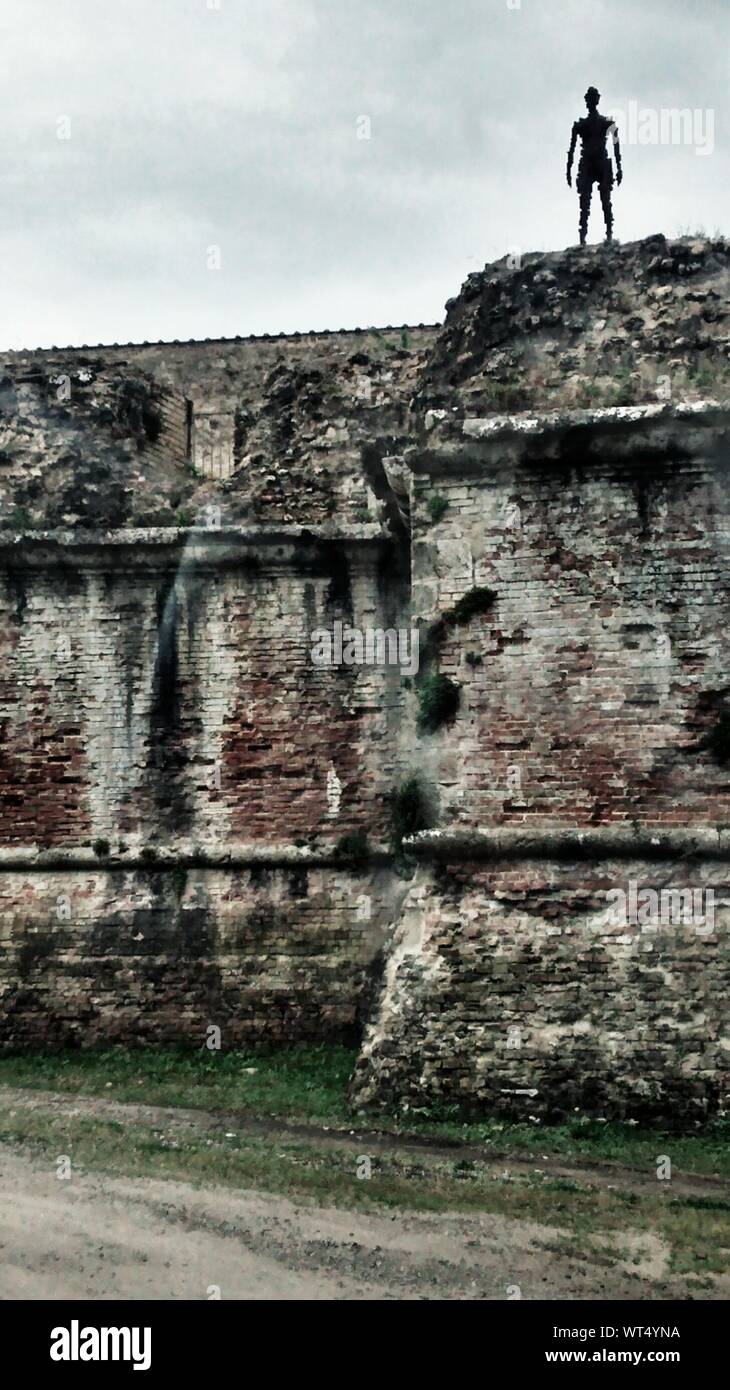 Standing On A Brick Wall High Resolution Stock Photography and Images ...