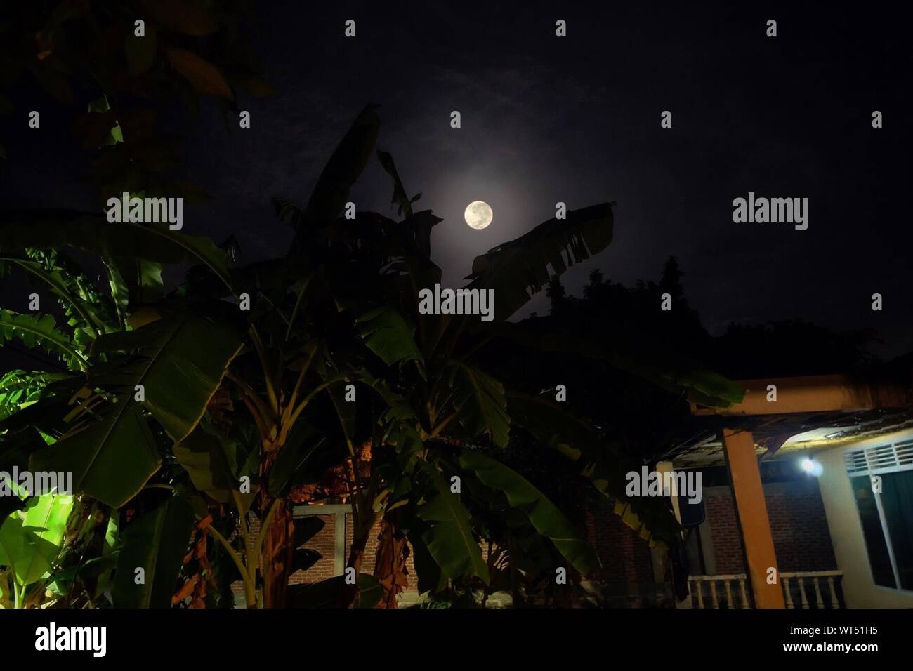 Moon house hi-res stock photography and images - Alamy