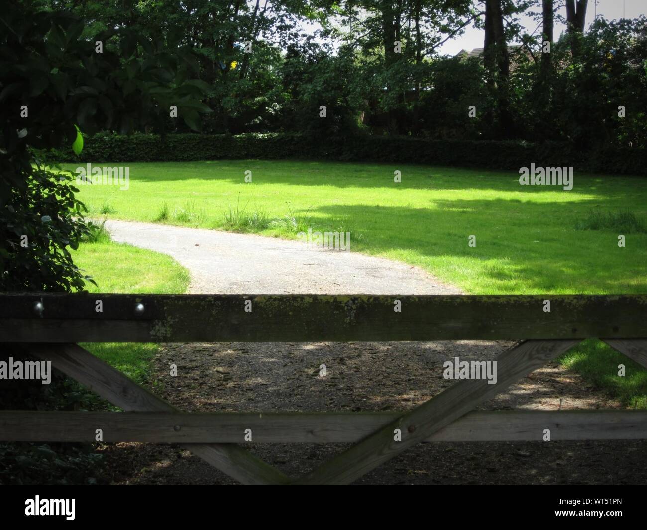 Tree shadow on pathway hi-res stock photography and images - Alamy