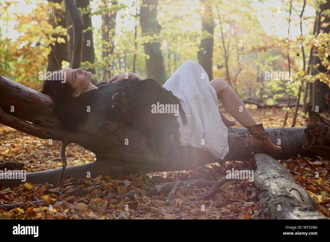Young woman lying on tree High Resolution Stock Photography and Images ...