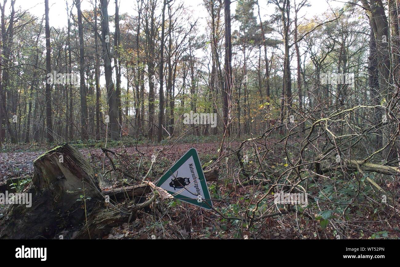 Information sign deforestation hi-res stock photography and images - Alamy