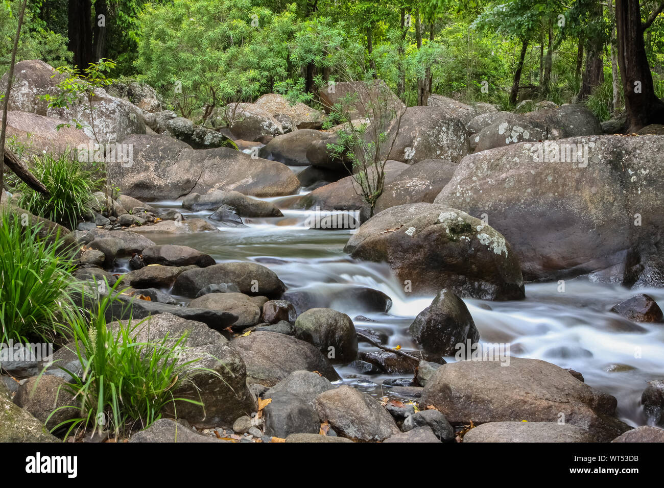 Cascade in the rainforest, Jourama Falls, Paluma Range National Park ...