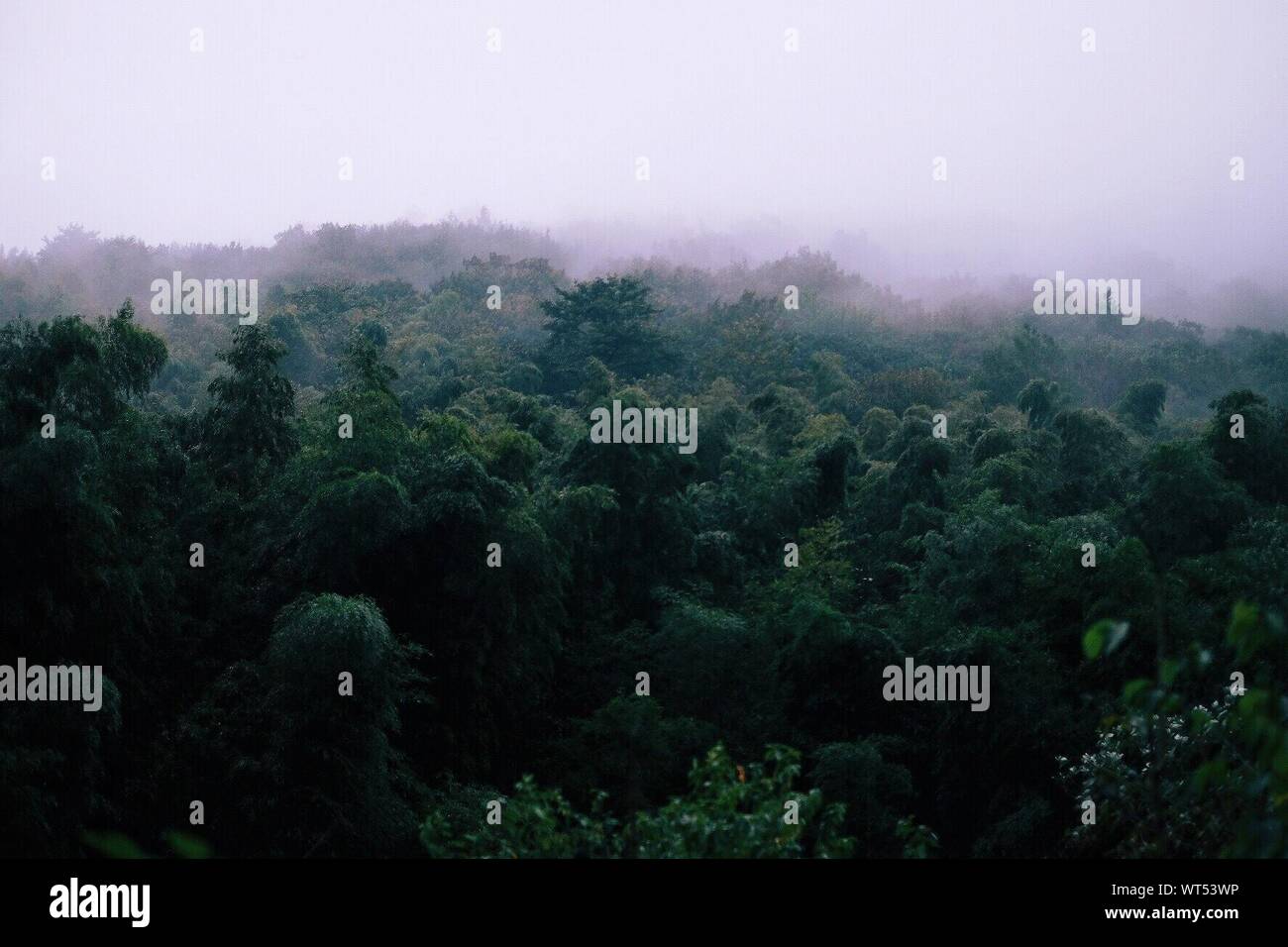 Scenic rain hi-res stock photography and images - Alamy