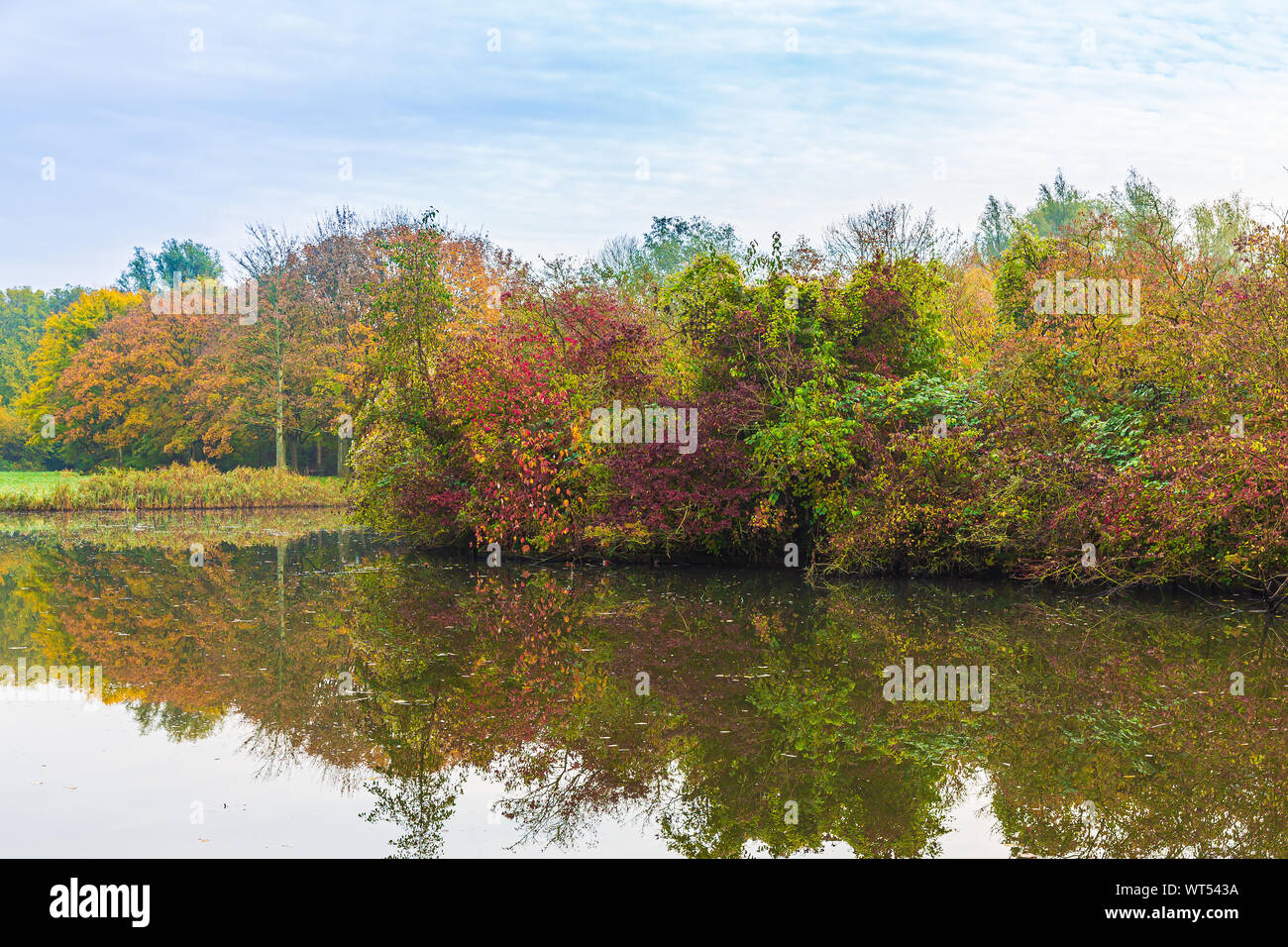 Beautiful early autumn colors hi-res stock photography and images - Alamy