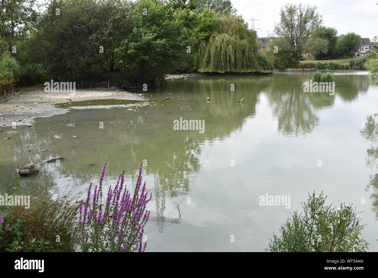 Ladygrove lakes hi-res stock photography and images - Alamy