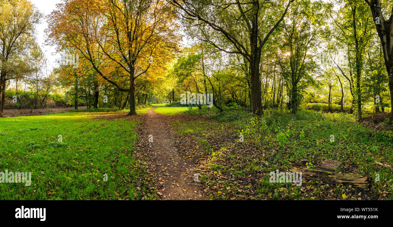 Bright colors in landscape hi-res stock photography and images - Alamy