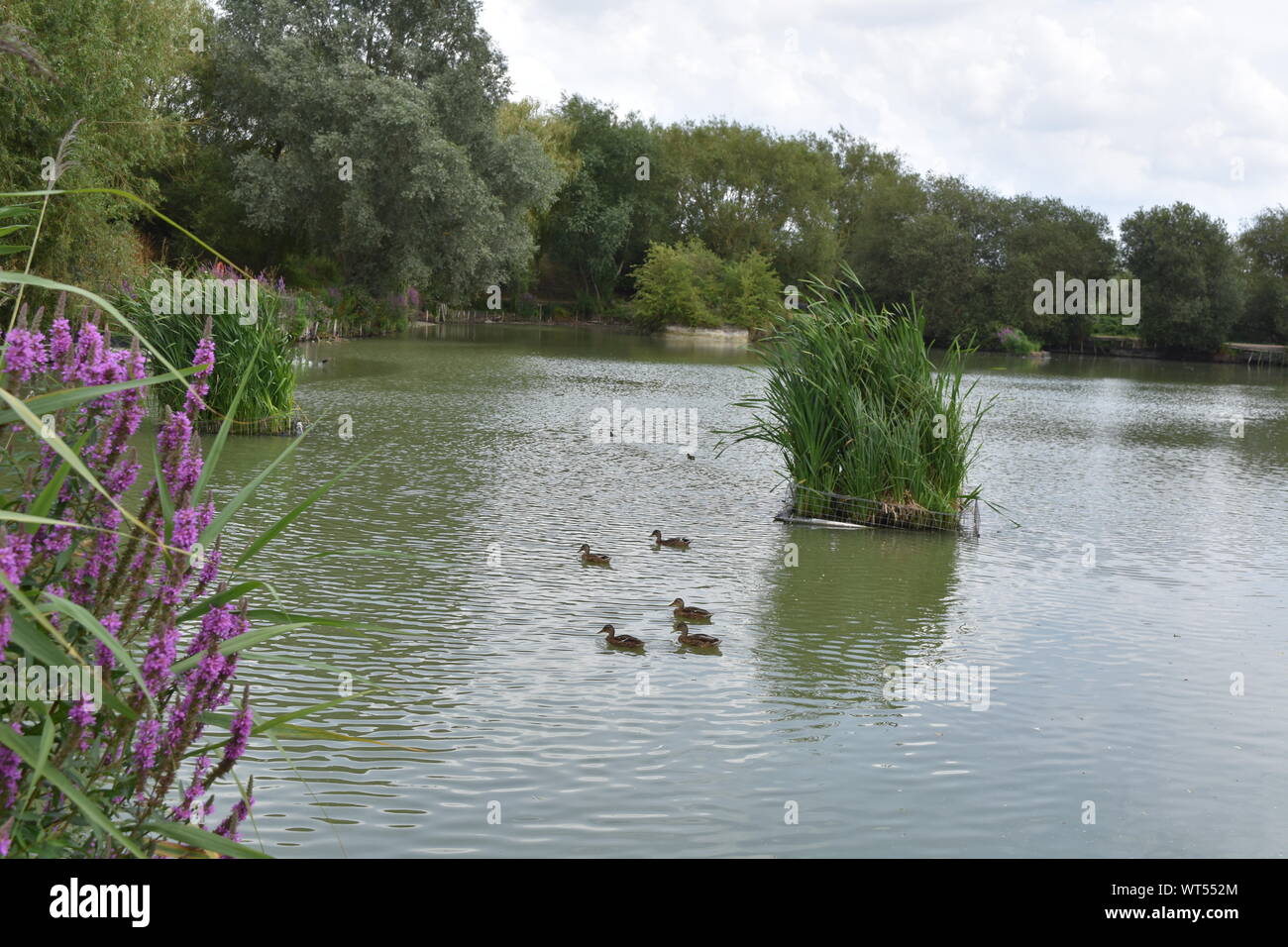 Ladygrove hi-res stock photography and images - Alamy