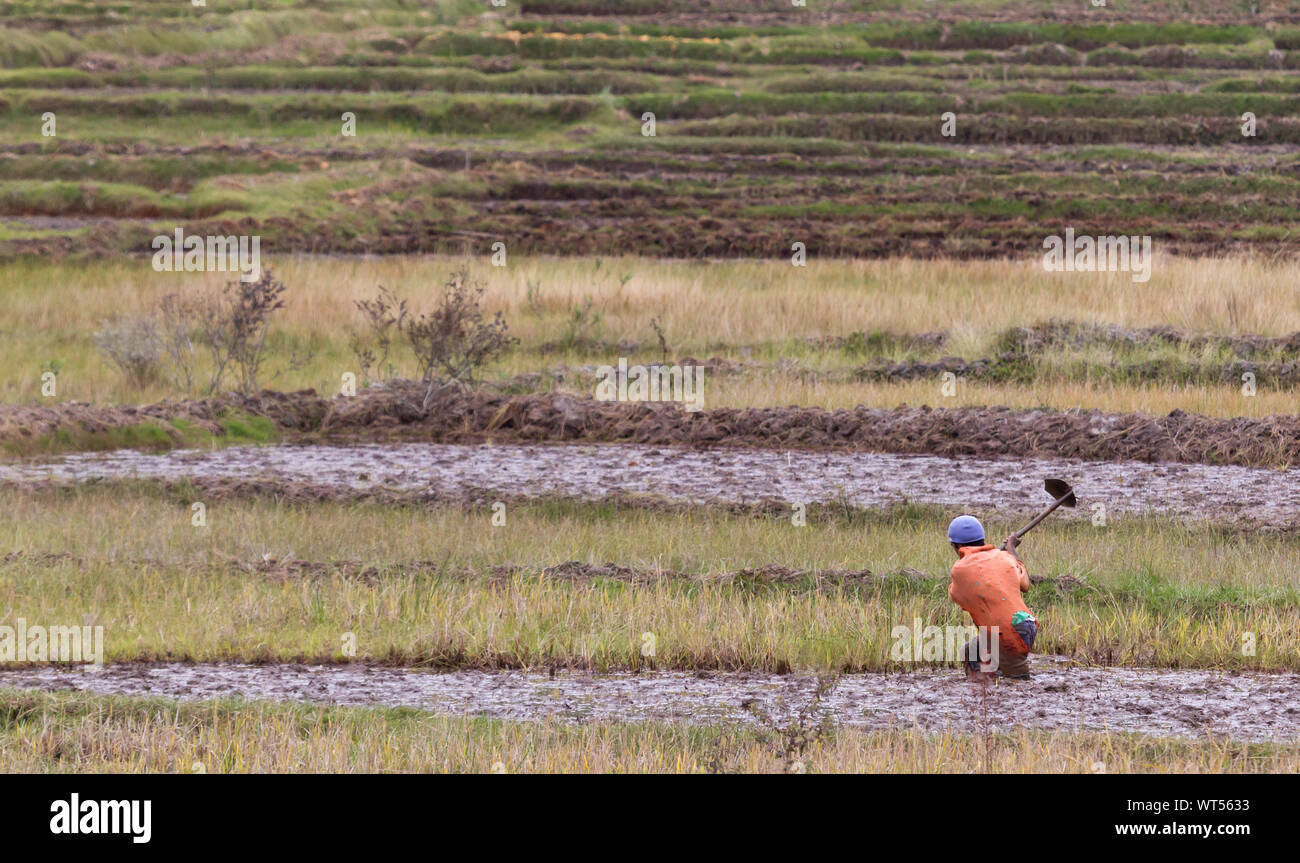 Single man working hi-res stock photography and images - Alamy