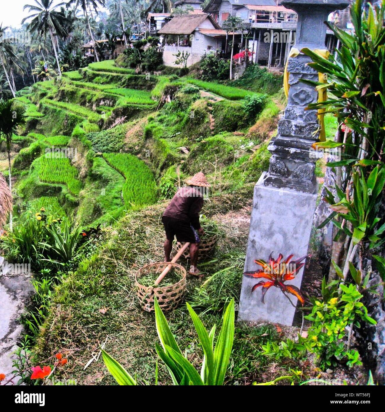 Farm Worker Village High Resolution Stock Photography and Images - Alamy